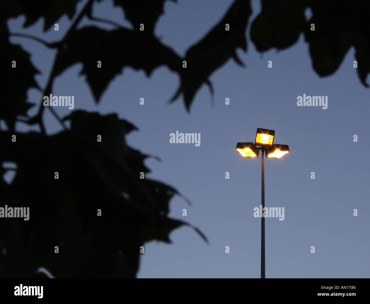 three bulb lit lamp post with trees at night Stock Photo - Alamy
