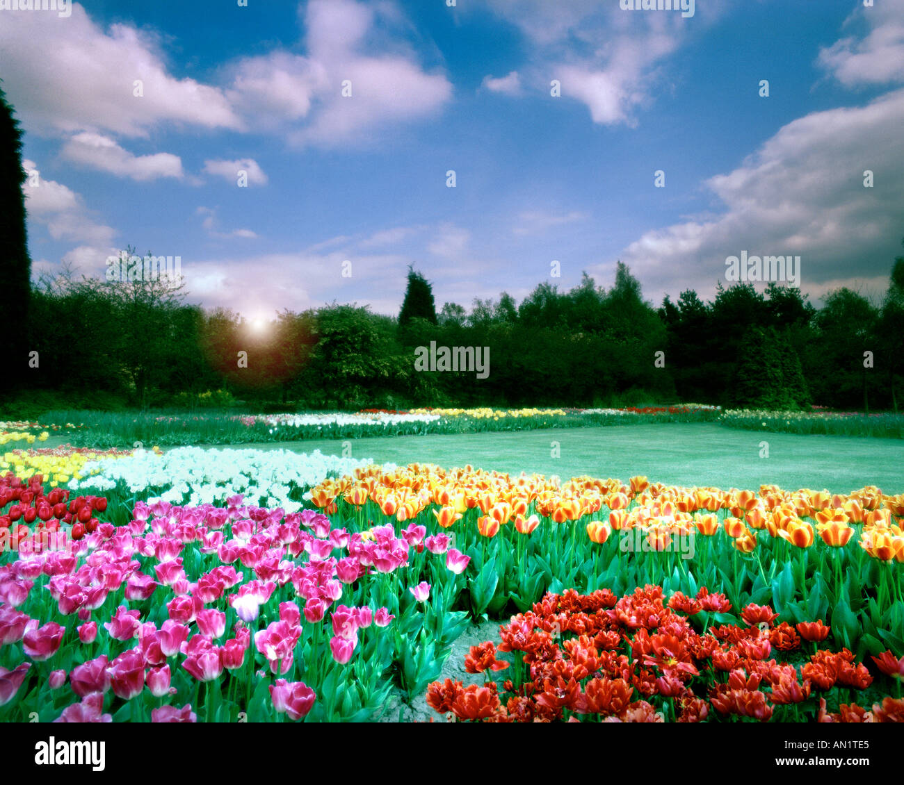 By spalding hi-res stock photography and images - Alamy