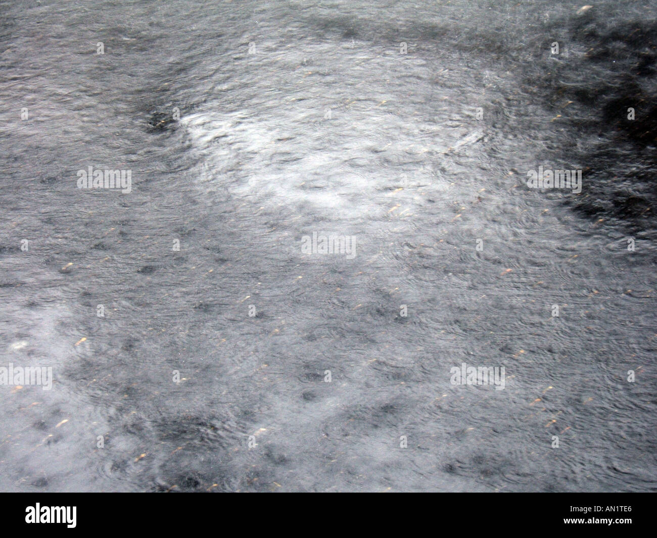 torrential rain falling on road Stock Photo - Alamy