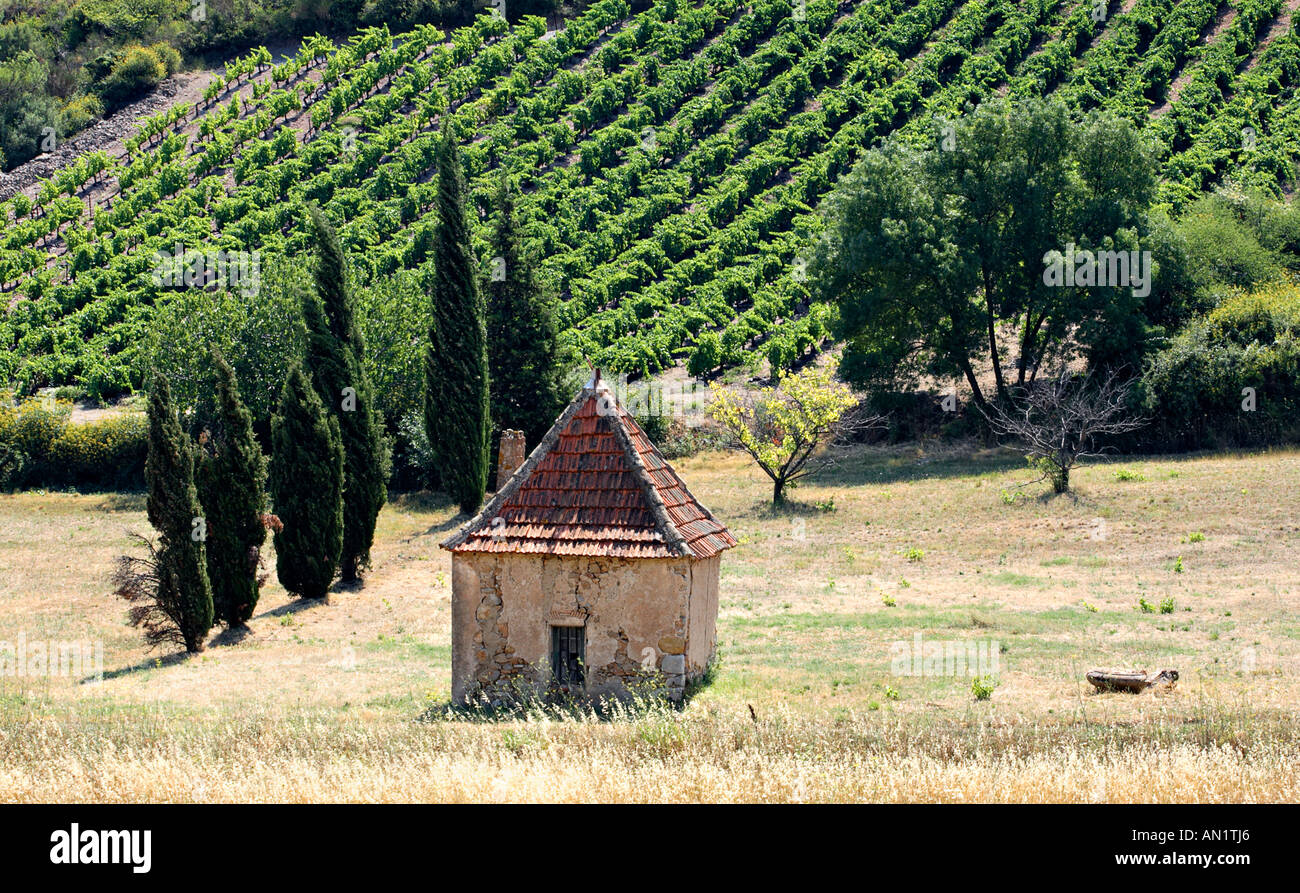 Saint chinian hi-res stock photography and images - Alamy