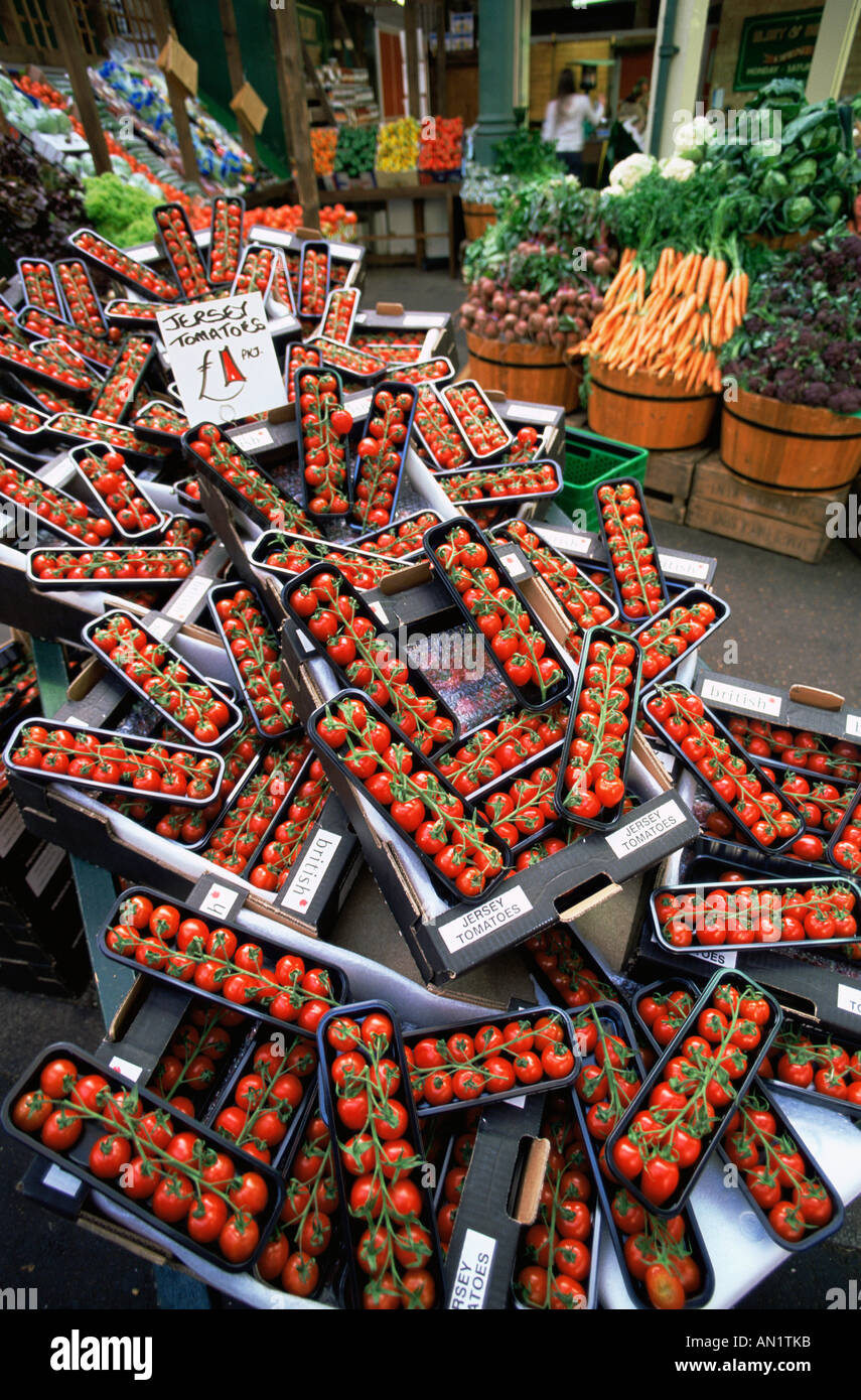 England,London,Southwark,Borough Market,Vegetable Stall,Tomato Display ...