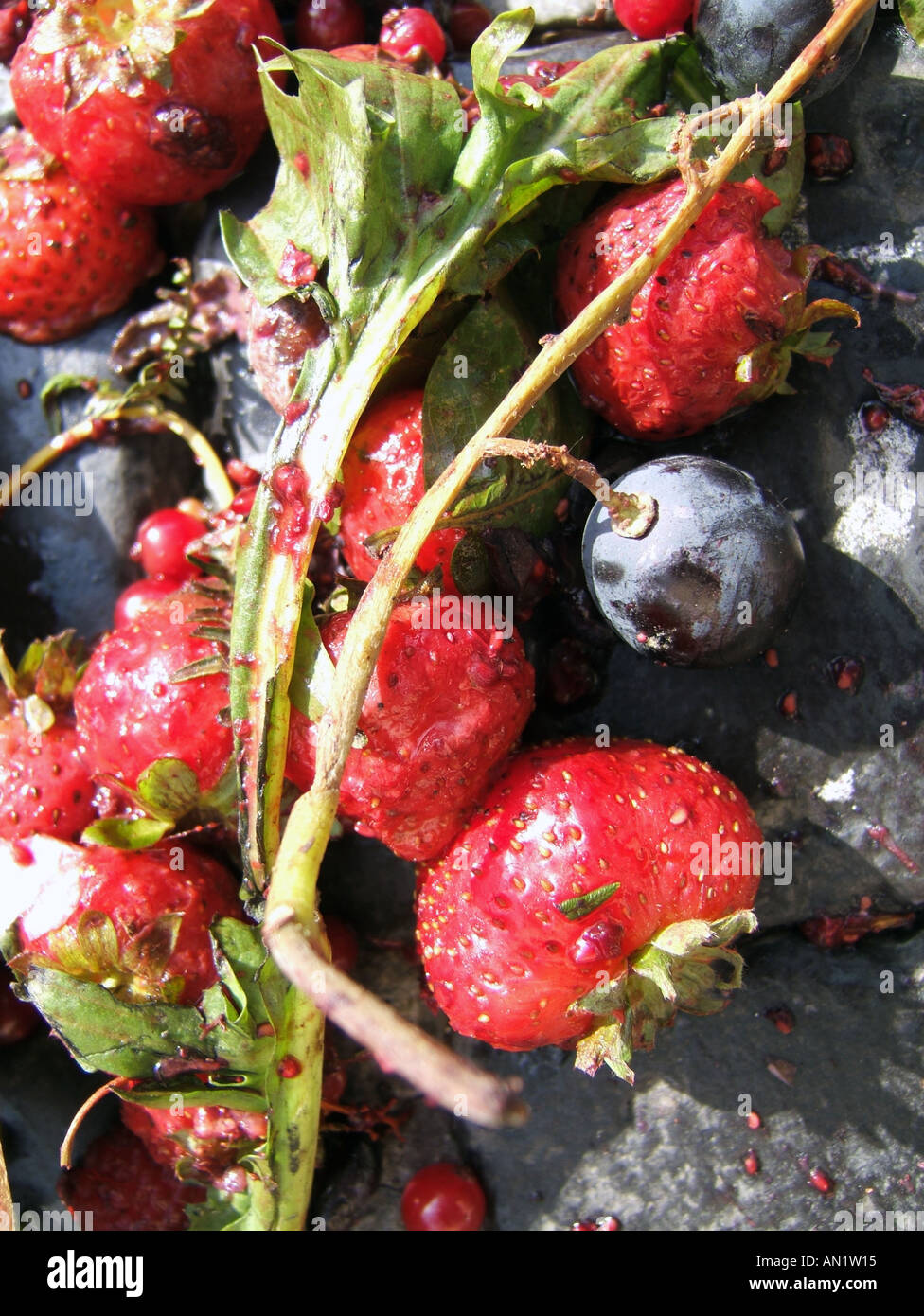 Market damaged fruit stall hi-res stock photography and images - Alamy