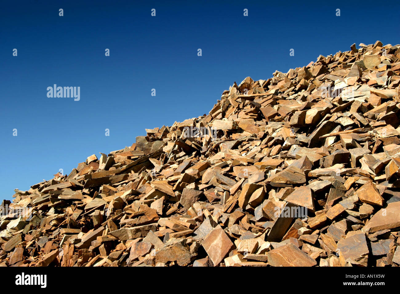 Petrification Stock Photos & Petrification Stock Images - Alamy