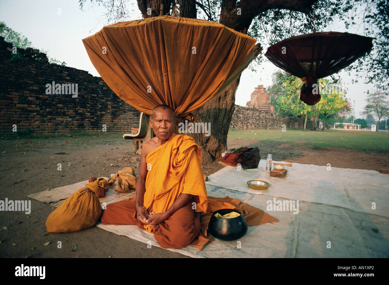 Sitting under tree monk hi-res stock photography and images - Alamy