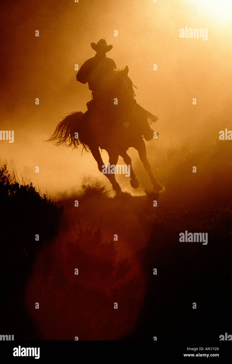 Cowboy running his horse backlit with sunlight through the Oregon dust ...