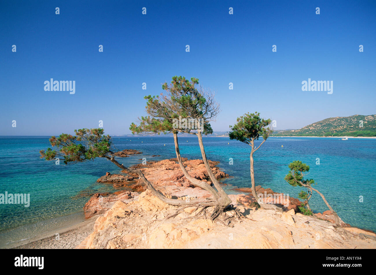 Santa guilia corsica hi-res stock photography and images - Alamy
