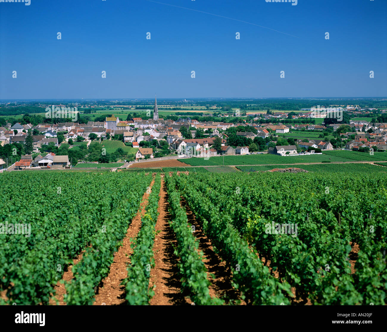 France, Burgundy, Mersault Village and Vineyards Stock Photo - Alamy