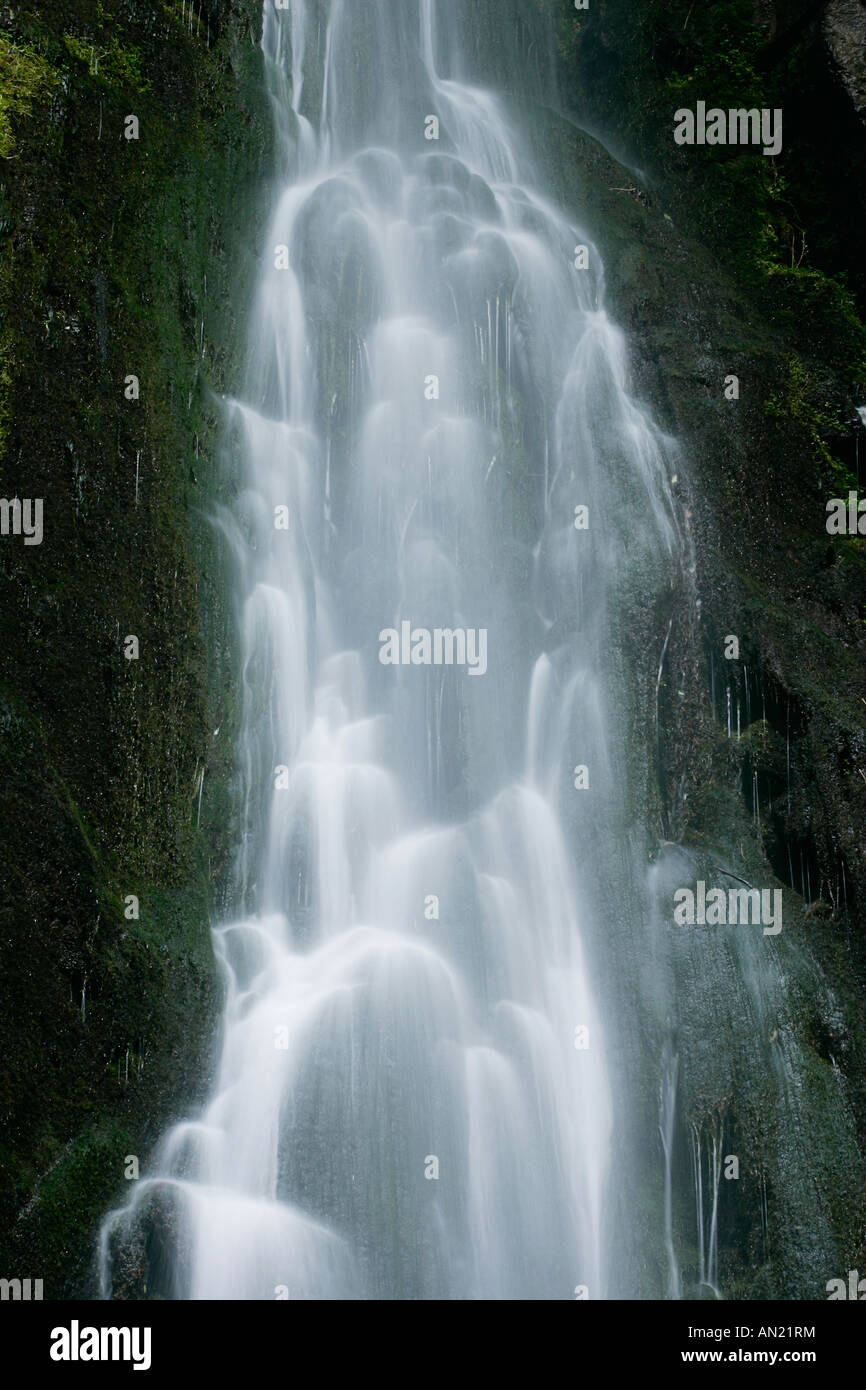 Nord Schwarzwald Bad Rippoldsau Burgbachwasserfall Deutschland Germany ...