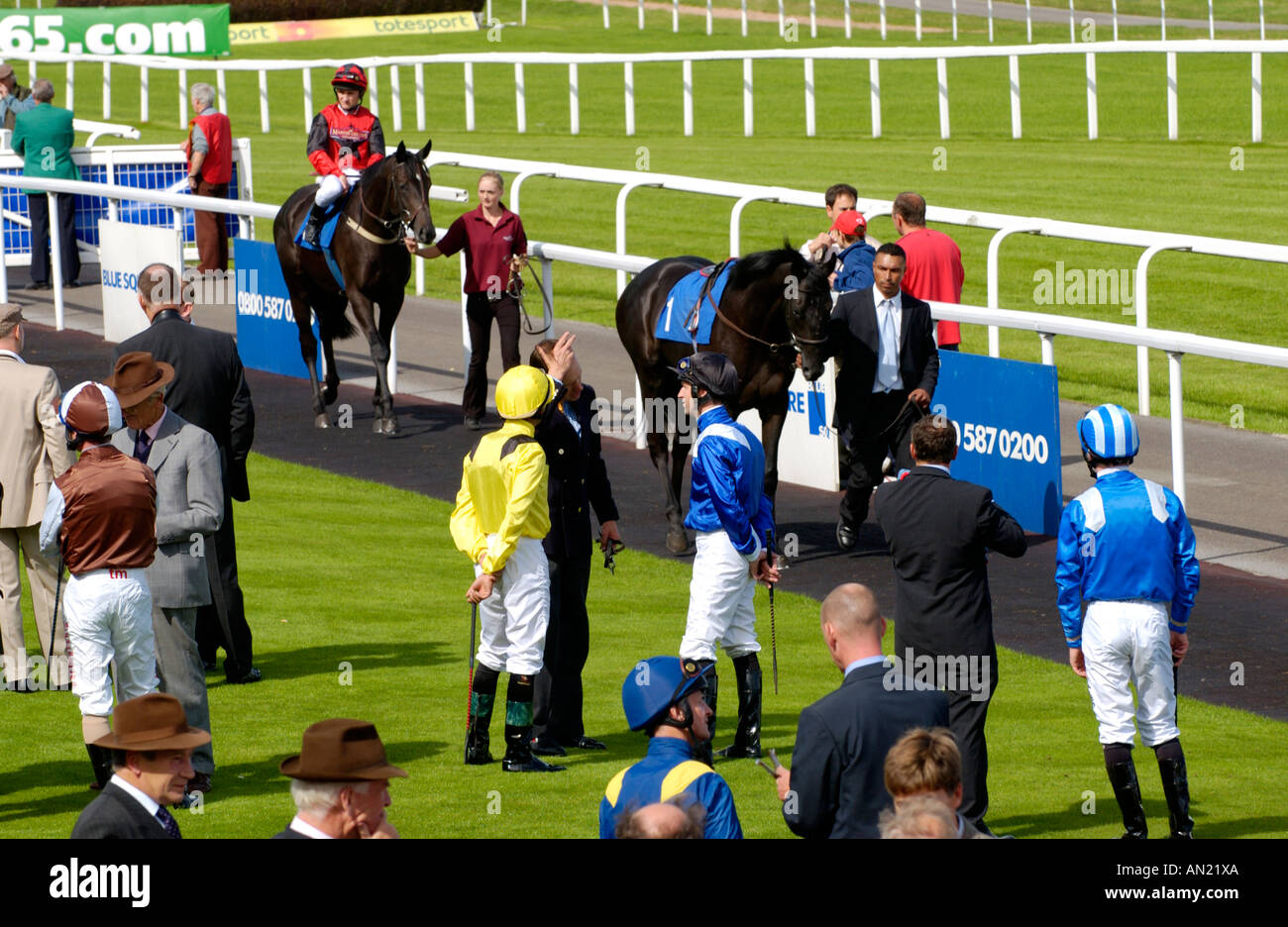 Racing horses parade ring High Resolution Stock Photography and Images ...