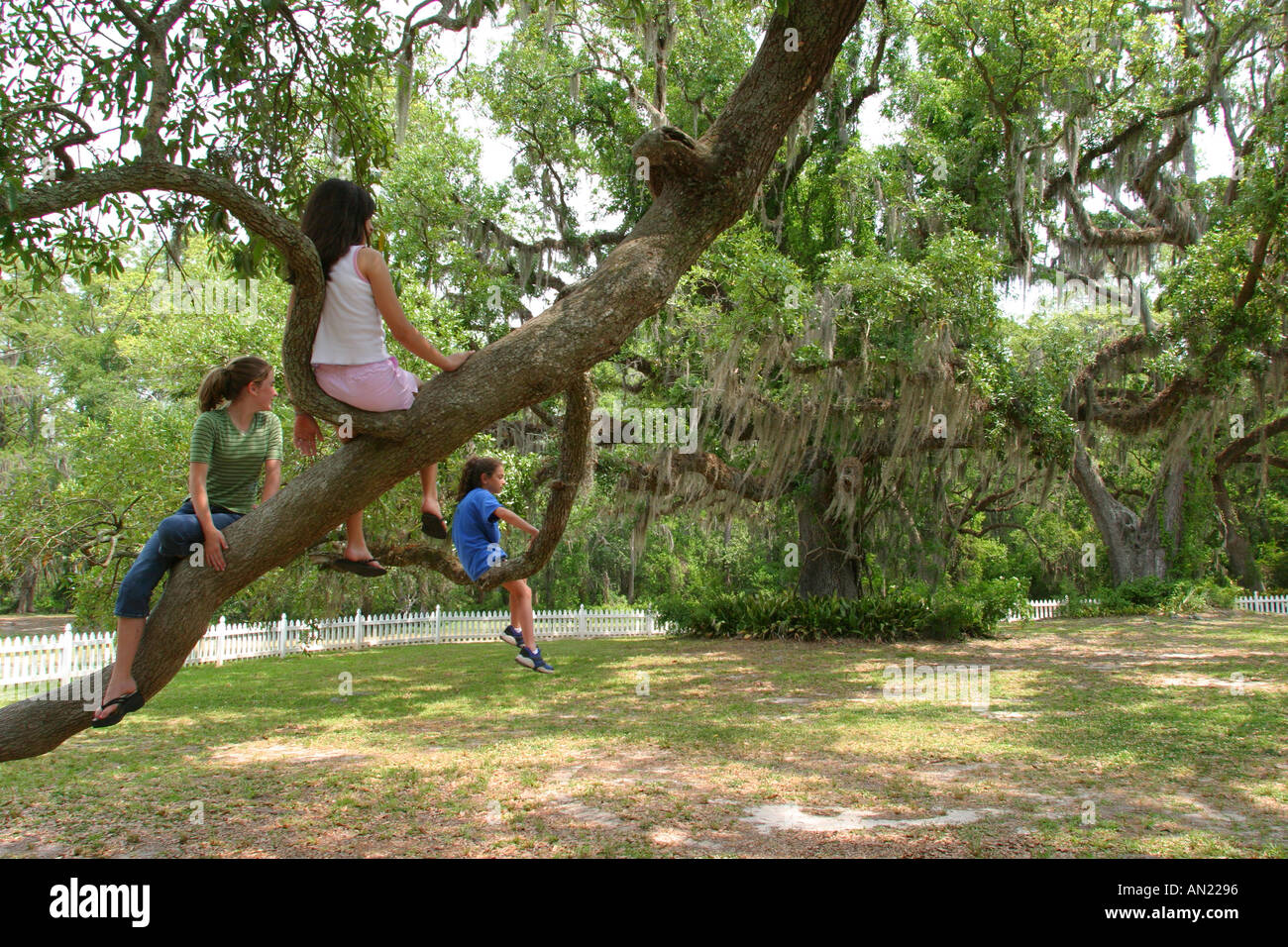 Louisiana Fairview River waterside State Park,public land,recreation ...