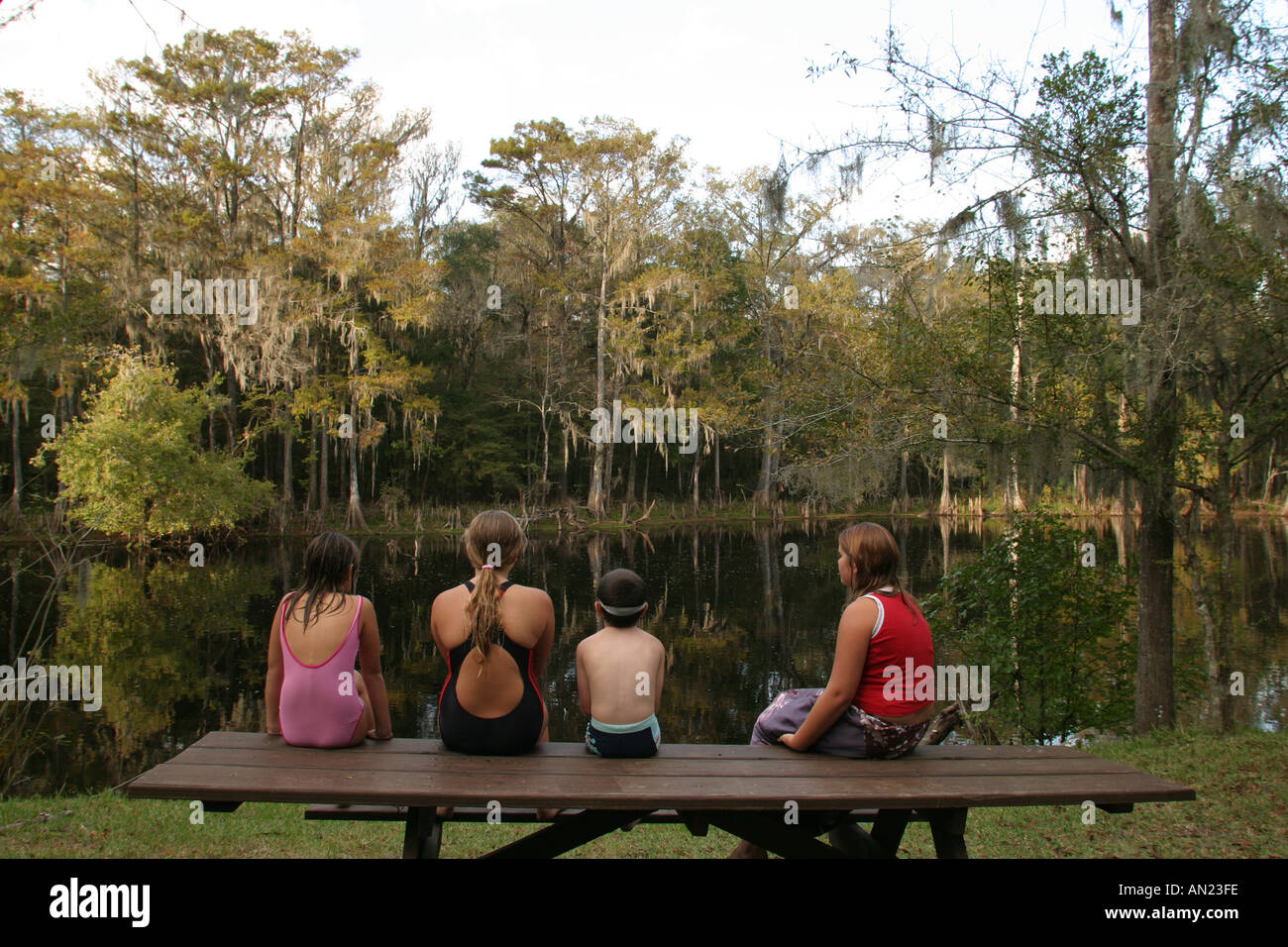 Florida Poe Springs Park,public land,recreation,nature,natural,scenery ...