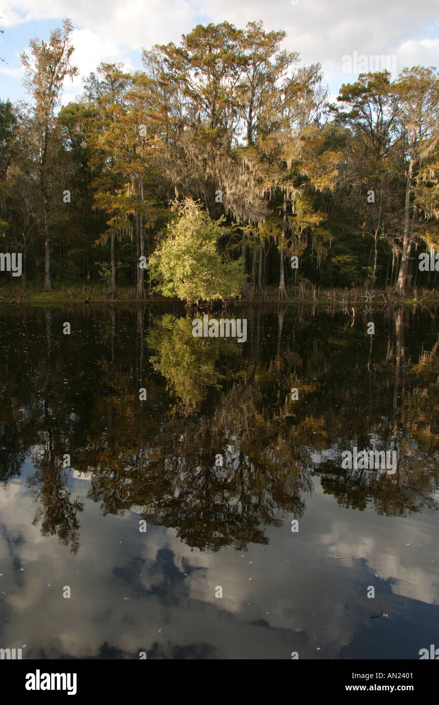 Florida Poe Springs Park,public land,recreation,nature,natural,scenery ...