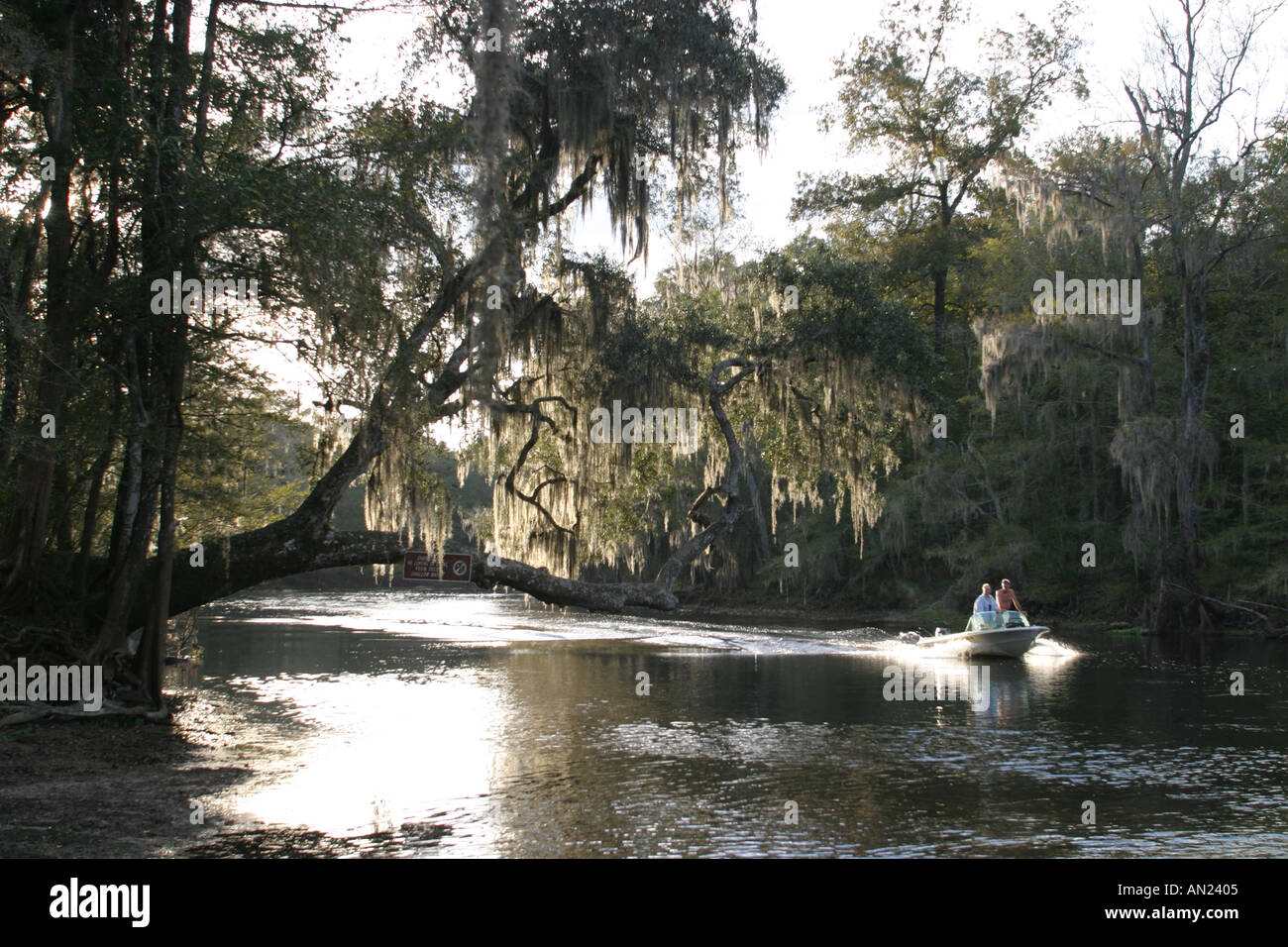 Florida Poe Springs Park,public land,recreation,nature,natural,scenery ...