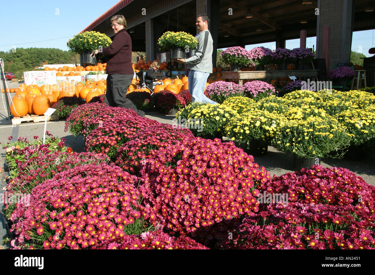 Raleigh North Carolina,State Farmers Market,produce,fruit,vegetable ...