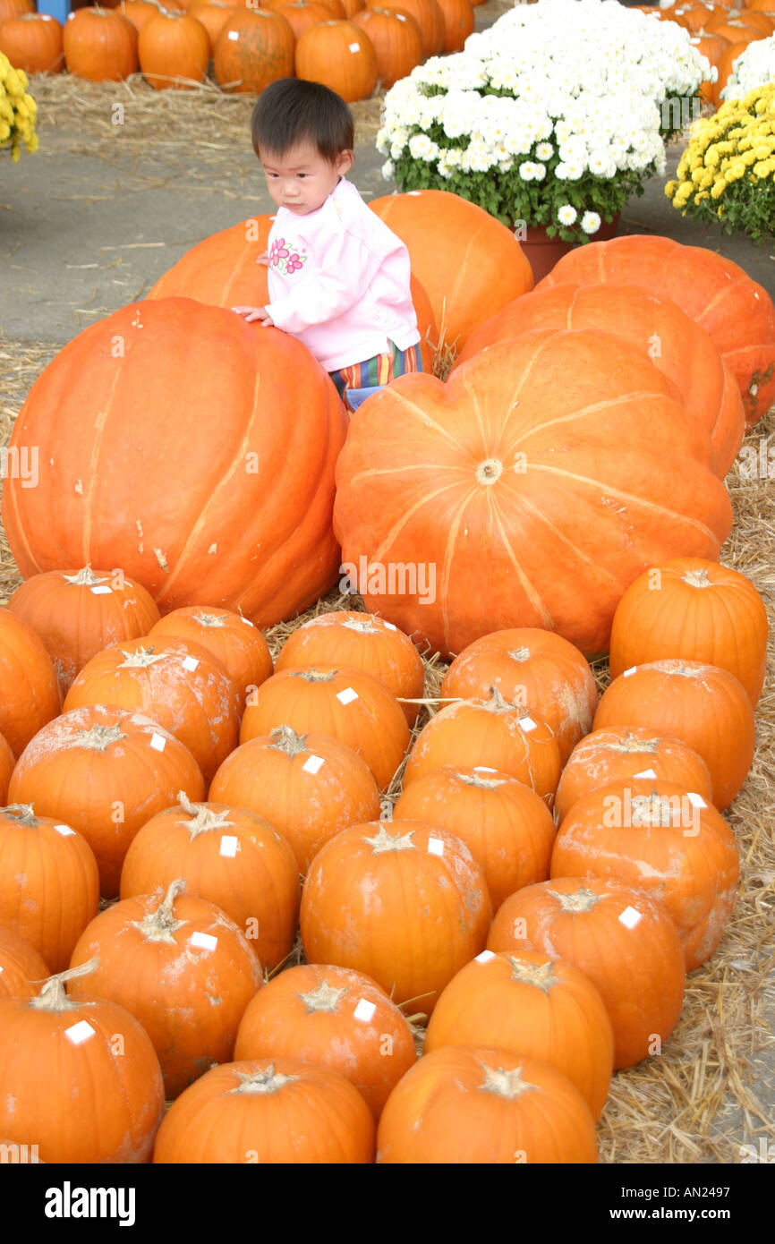 Raleigh North Carolina,State Farmers Market,produce,fruit,vegetable ...