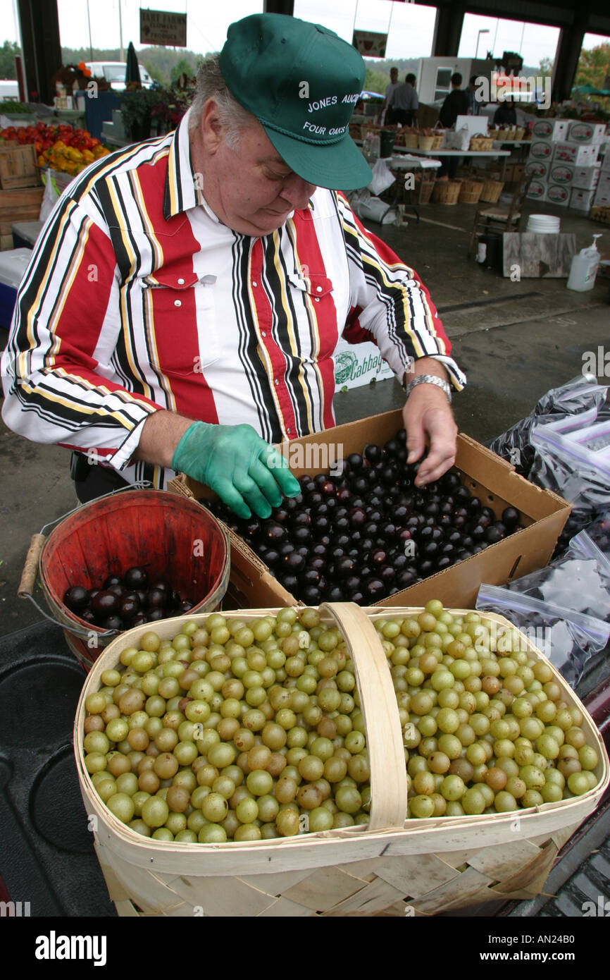 Raleigh North Carolina,State Farmers Market,fruit,vegetable,vegetables ...