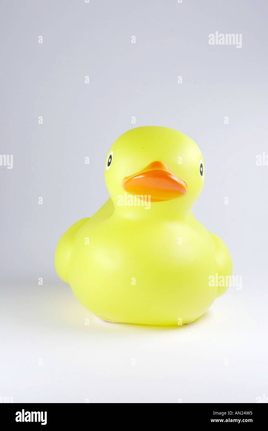 Chick concept duck toy yellow hi-res stock photography and images - Alamy