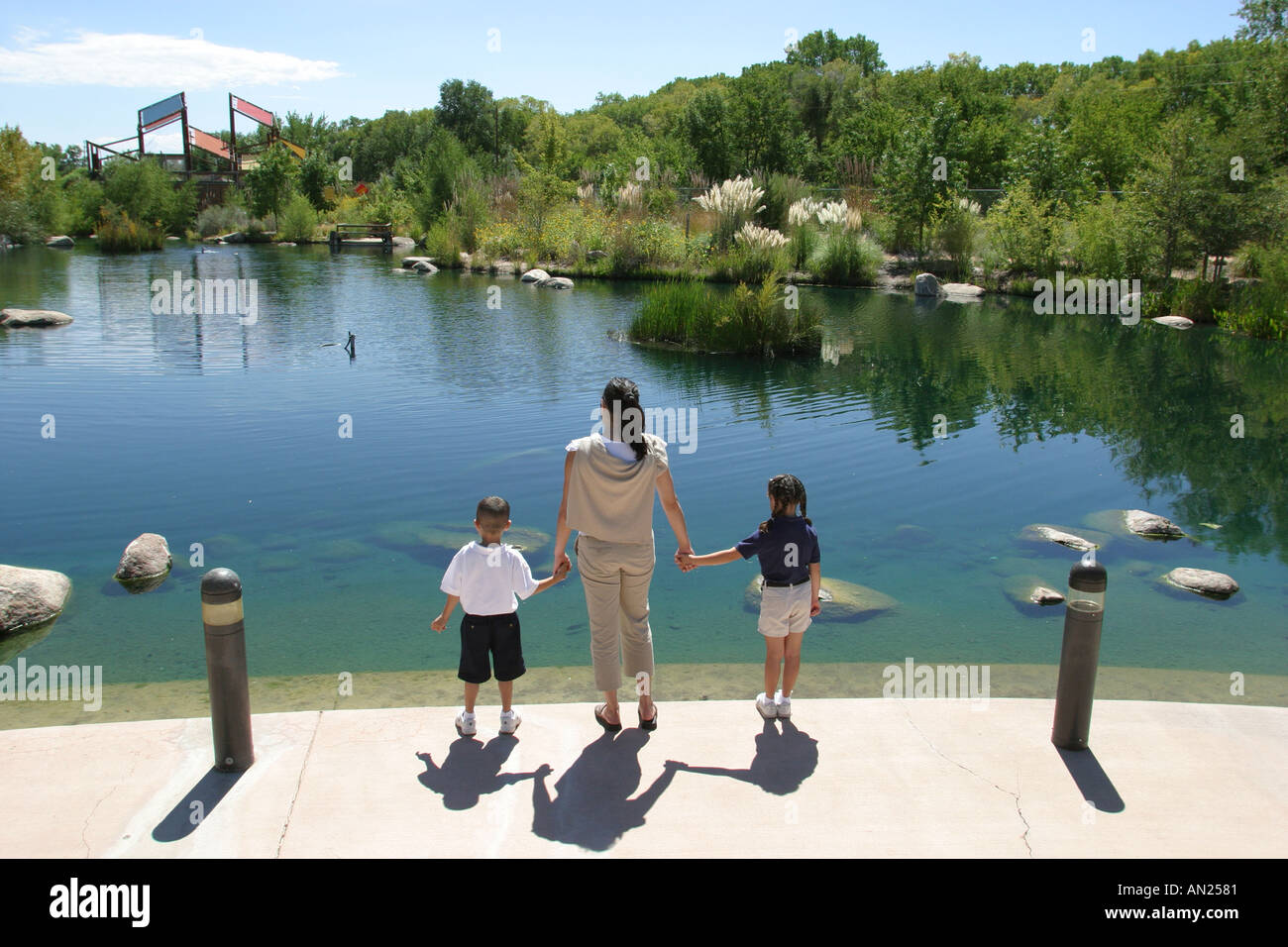 Albuquerque New Mexico,Biological Park,Rio Grande Botanic Garden Lake ...
