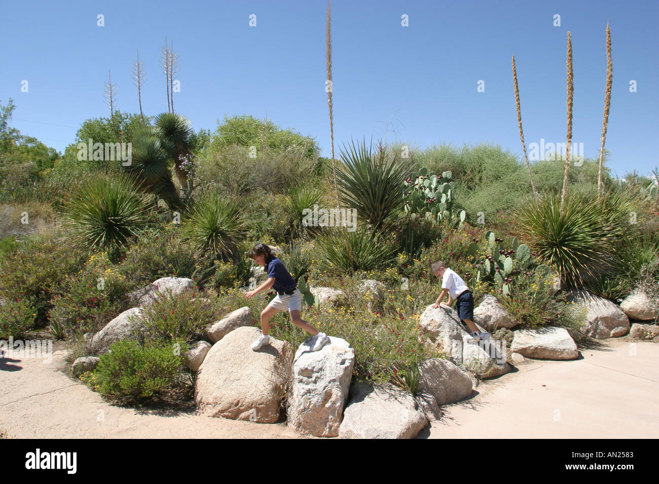 Albuquerque botanic garden hi-res stock photography and images - Alamy
