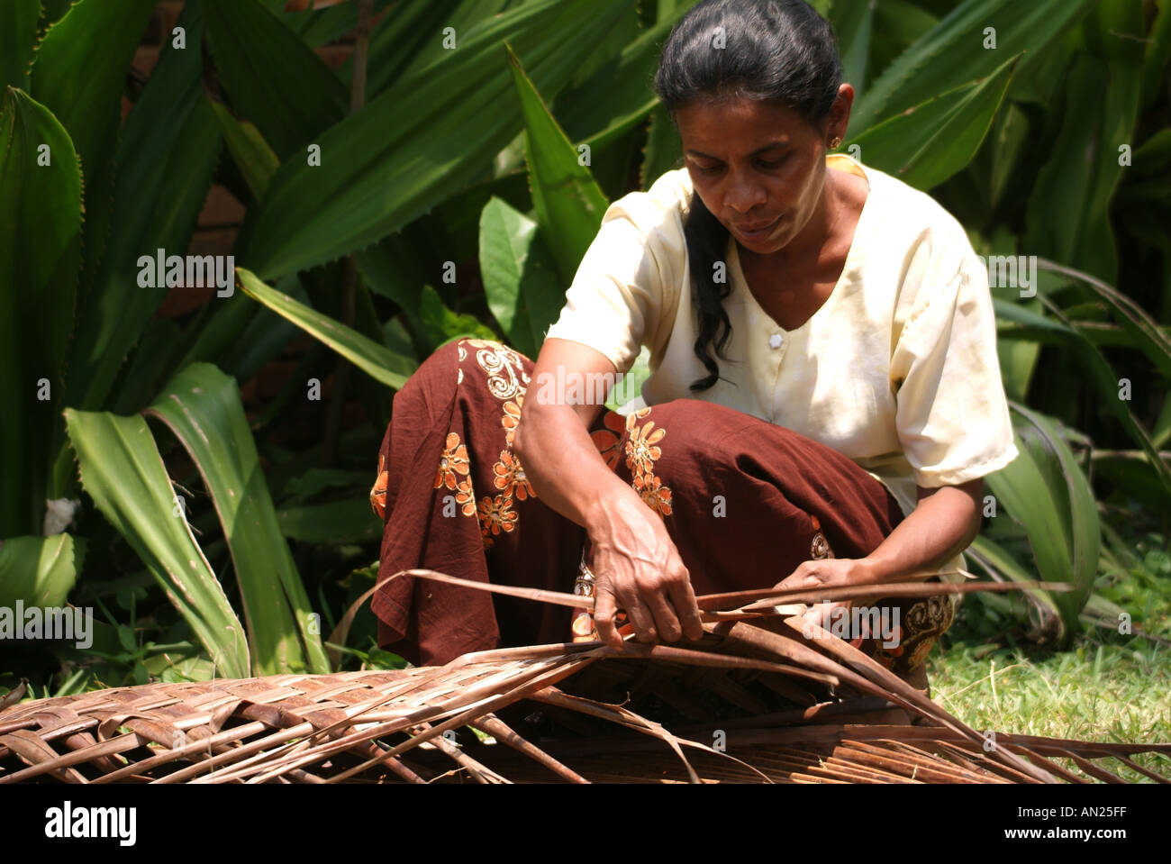 weaving palm leaves Stock Photo - Alamy