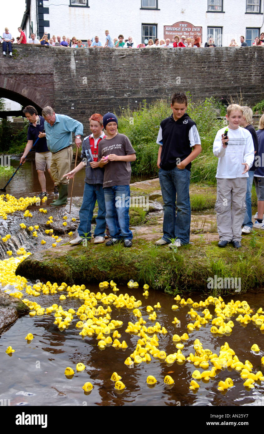 Plastic duck races hi-res stock photography and images - Alamy