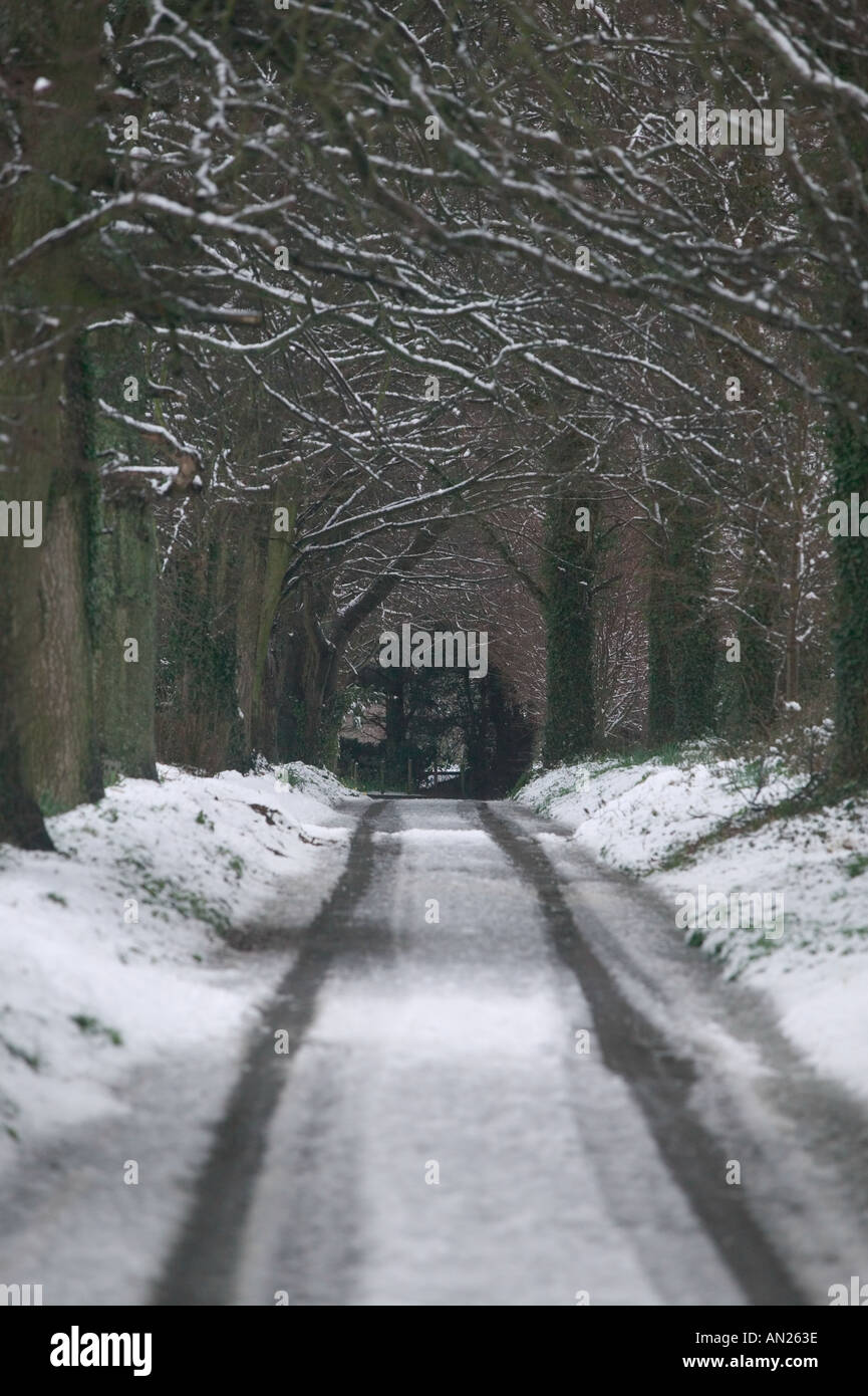Jersey channel islands country lane hi-res stock photography and images ...