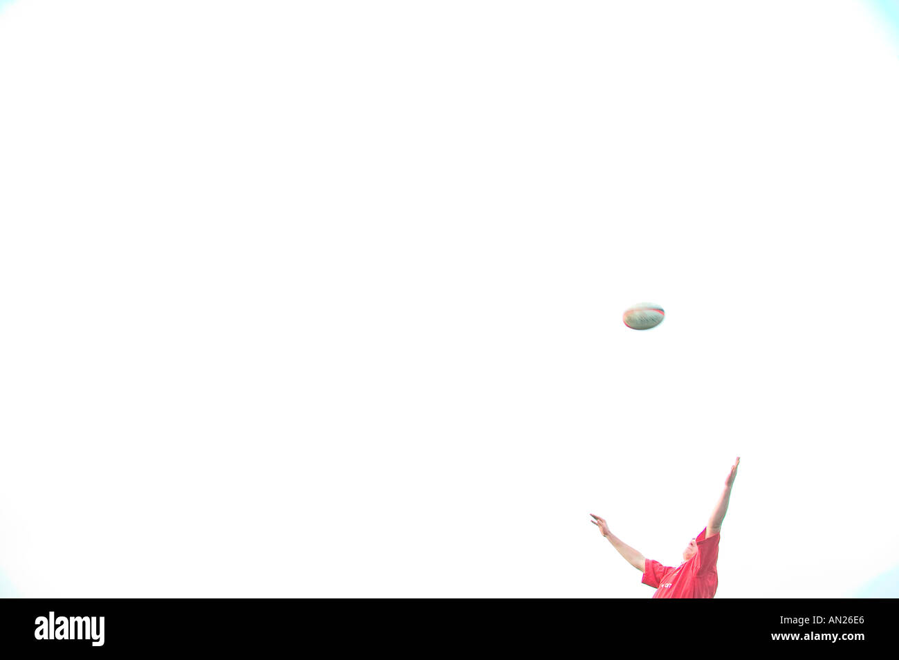 Rugby player on line out Stock Photo - Alamy