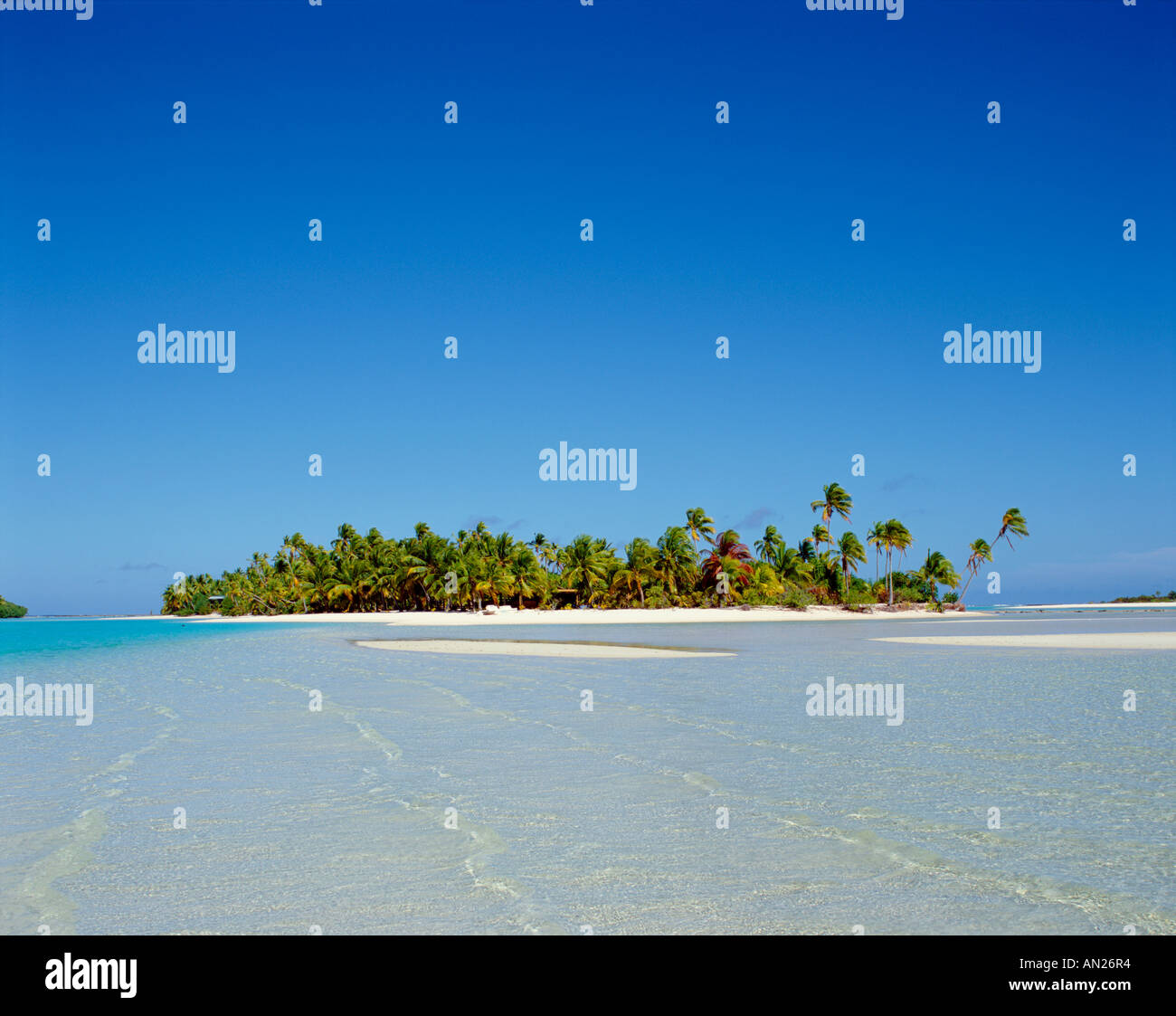 Palm Trees & Tropical Beach, Aitutaki Island, Cook Islands, Polynesia ...