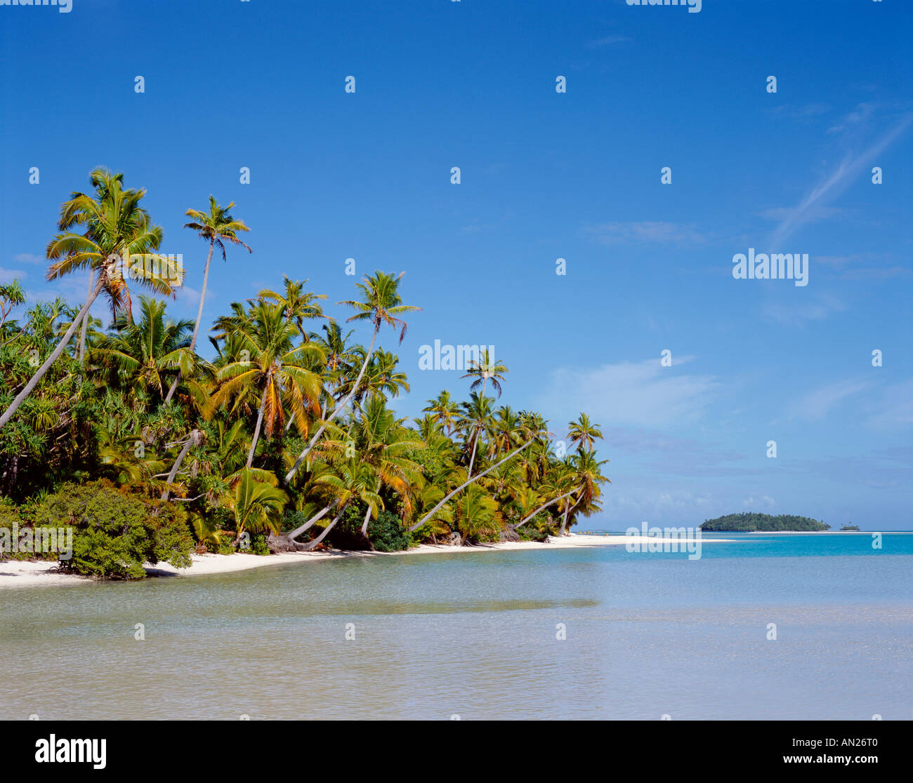 Palm Trees & Tropical Beach, Aitutaki Island, Cook Islands, Polynesia ...