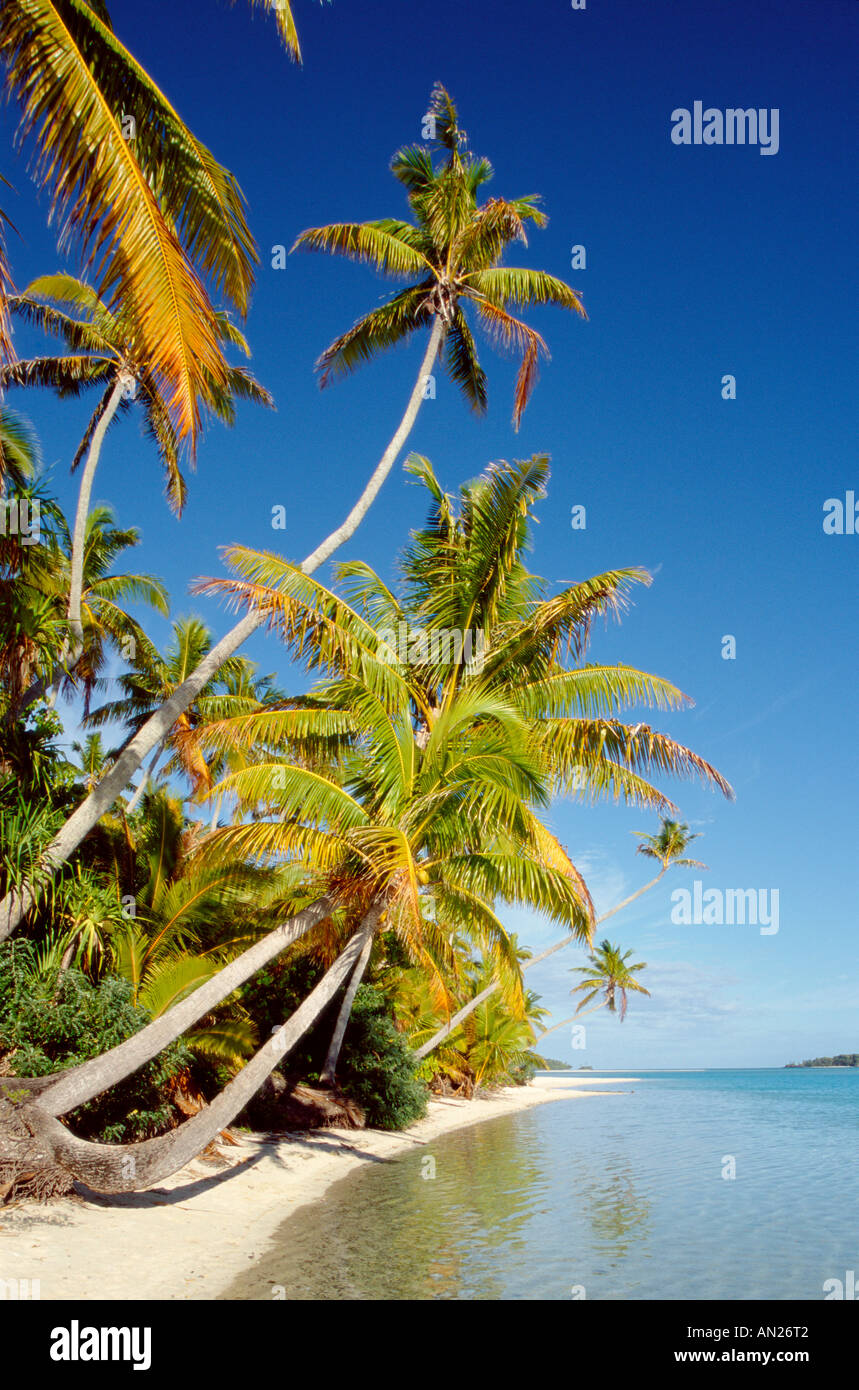 Palm Trees & Tropical Beach, Aitutaki Island, Cook Islands, Polynesia ...