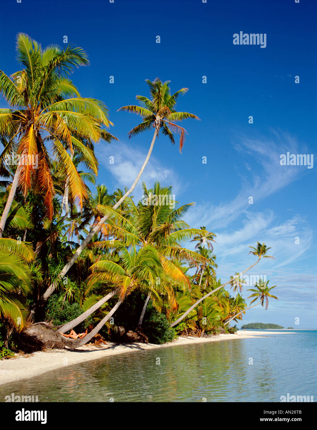 Palm Trees & Tropical Beach, Aitutaki Island, Cook Islands, Polynesia ...