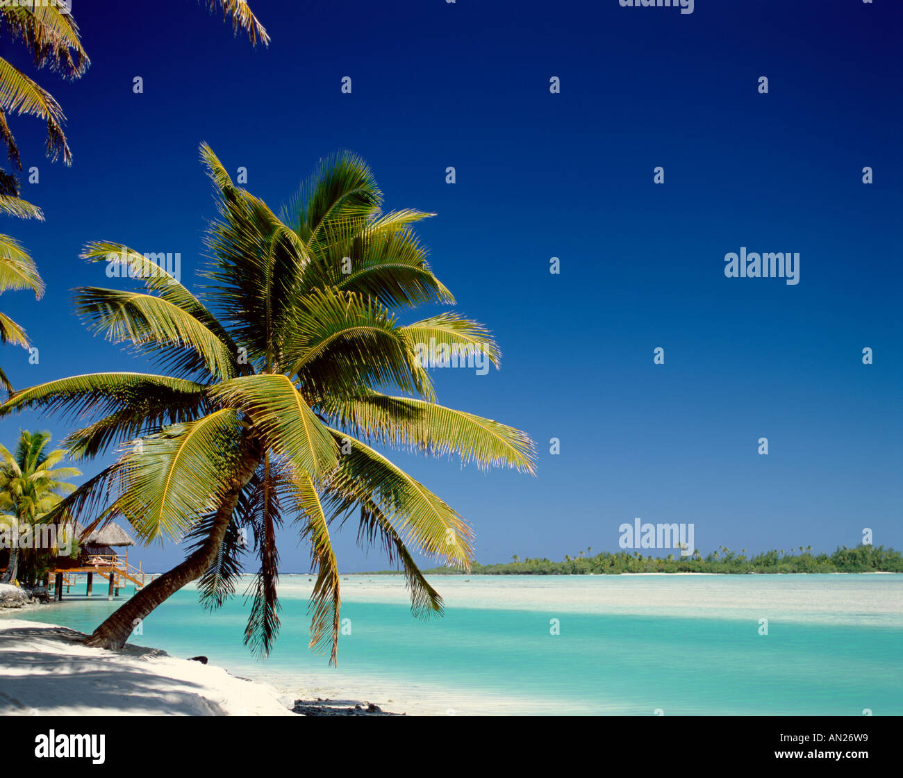 Palm Trees & Tropical Beach, Aitutaki Island, Cook Islands, Polynesia ...