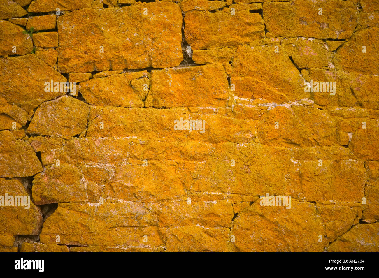 Yellow cinder block wall hi-res stock photography and images - Alamy