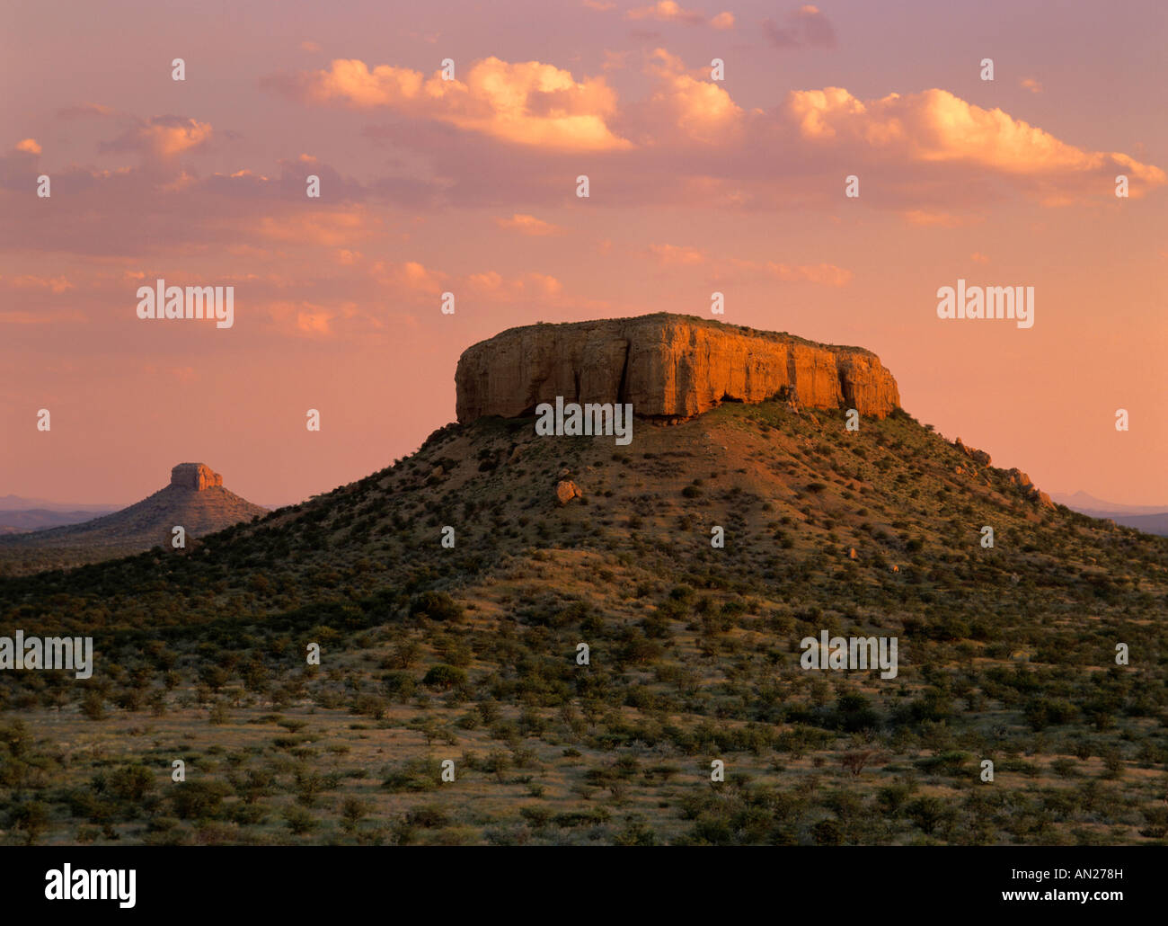 Savanne und bush hi-res stock photography and images - Alamy