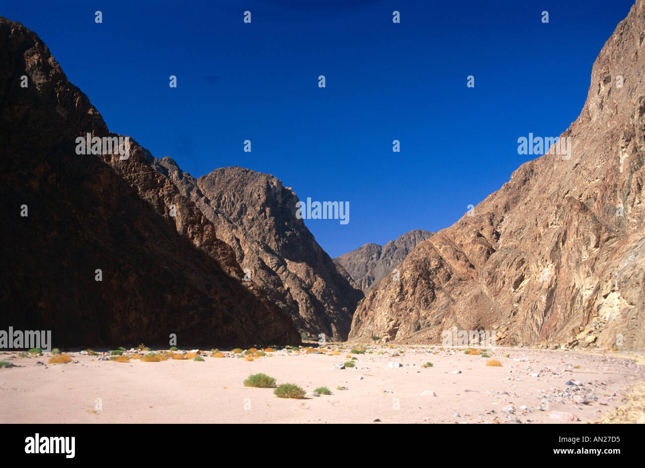 Desert car track in Wadi Zaghra Sinai Egypt Stock Photo - Alamy