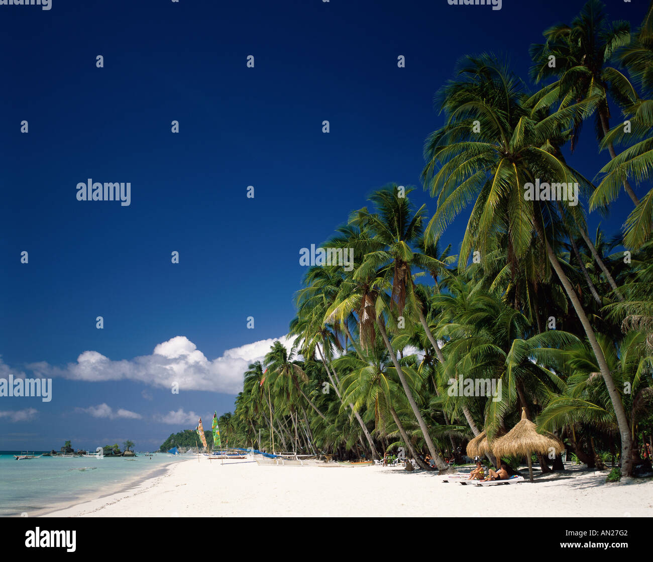 Palm Trees & Tropical Beach, Boracay Island, Philippines Stock Photo ...