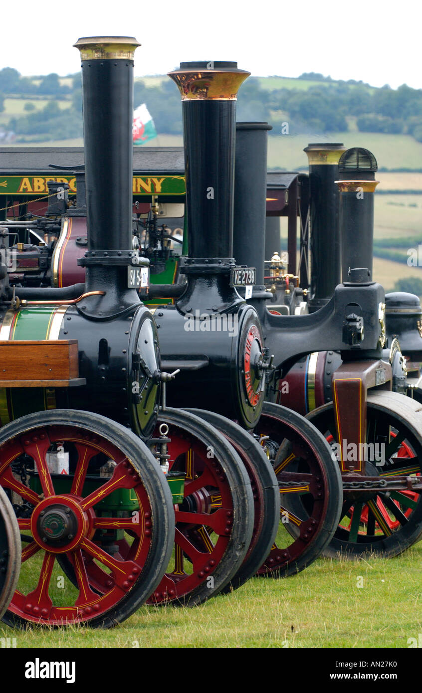 Selection of vintage steam traction engines and rollers at rural rally ...