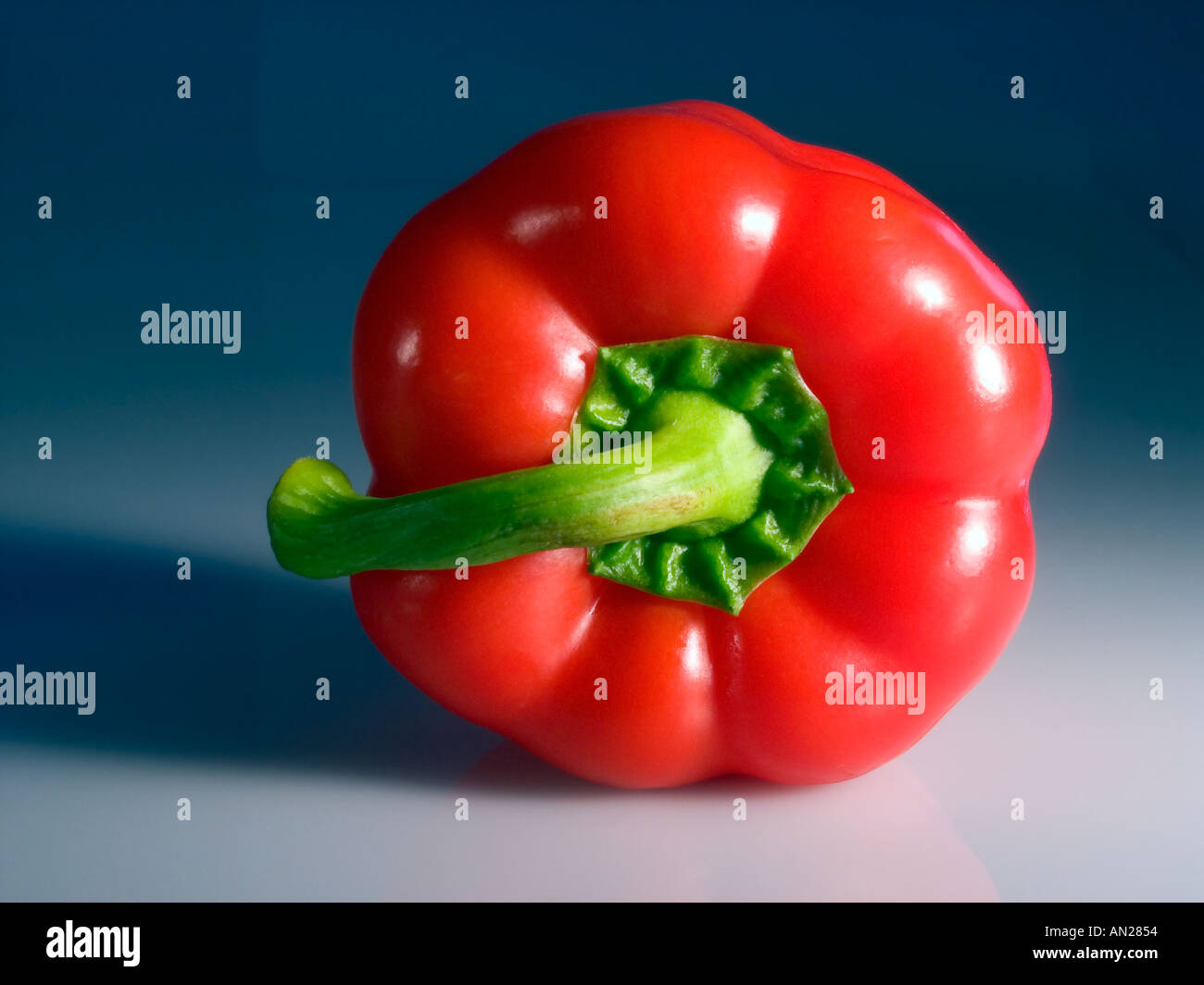 Specimen red table hi-res stock photography and images - Alamy