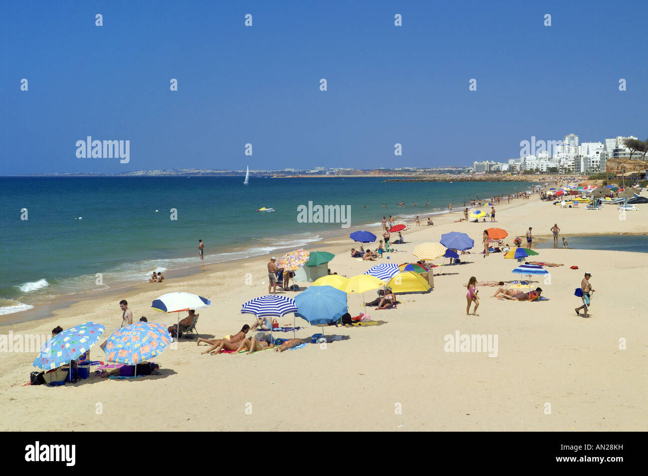 Cavalho preto hi-res stock photography and images - Alamy