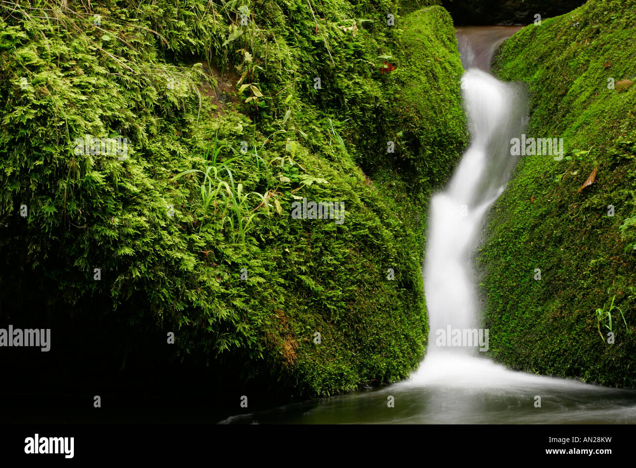 Schwarzwald Monbachtal Wasserfall waterfall germany europe black forest ...