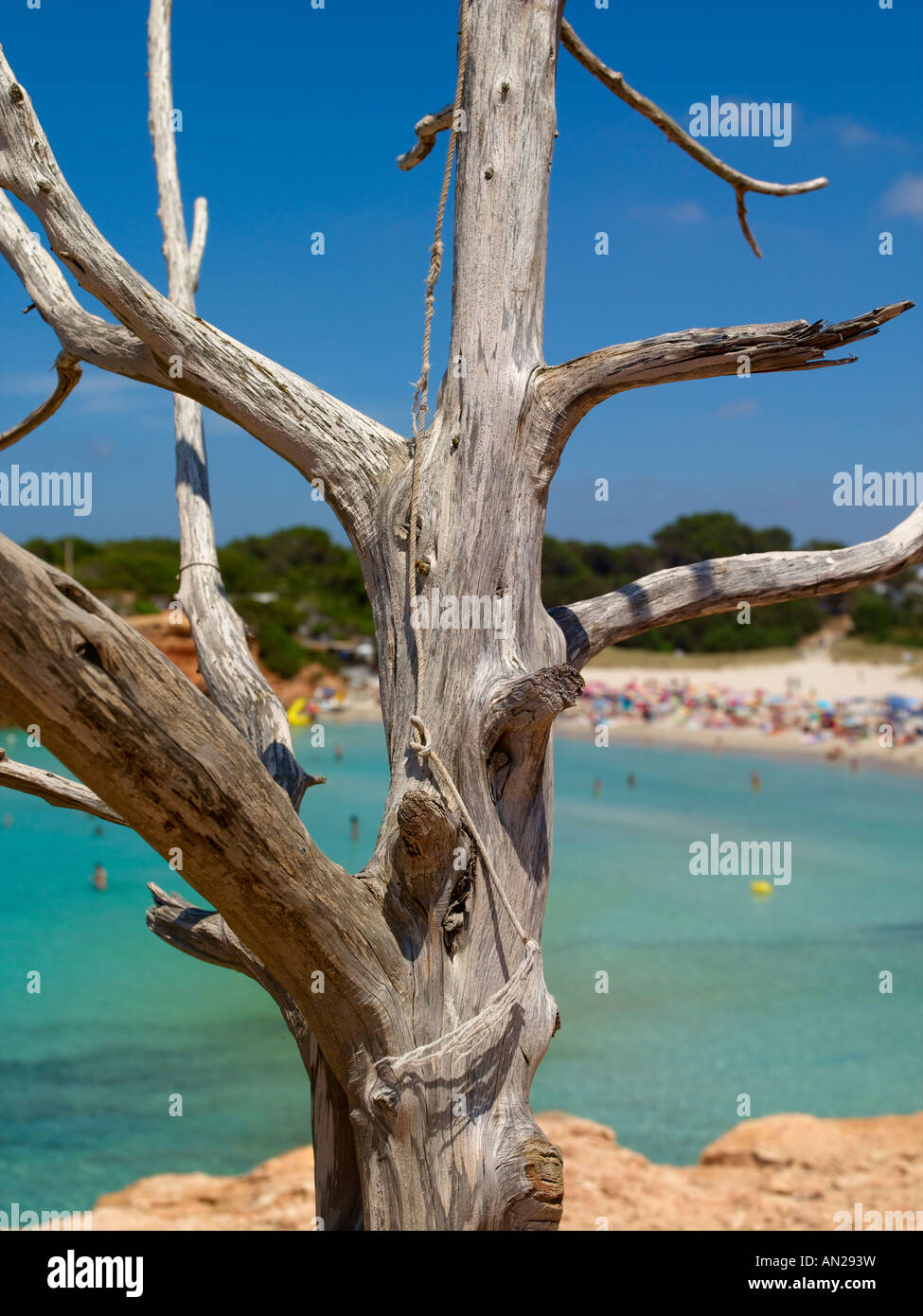 Islands dead trees in hi-res stock photography and images - Alamy
