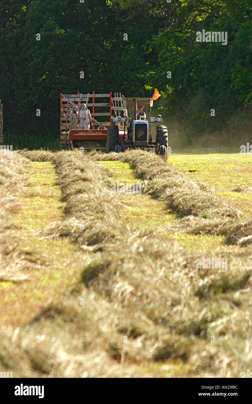 Baling machine hi-res stock photography and images - Alamy