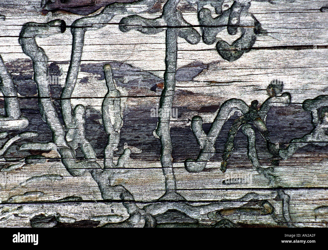 The Fall Of Man Adam Eve Stock Photos & The Fall Of Man Adam Eve Stock ...