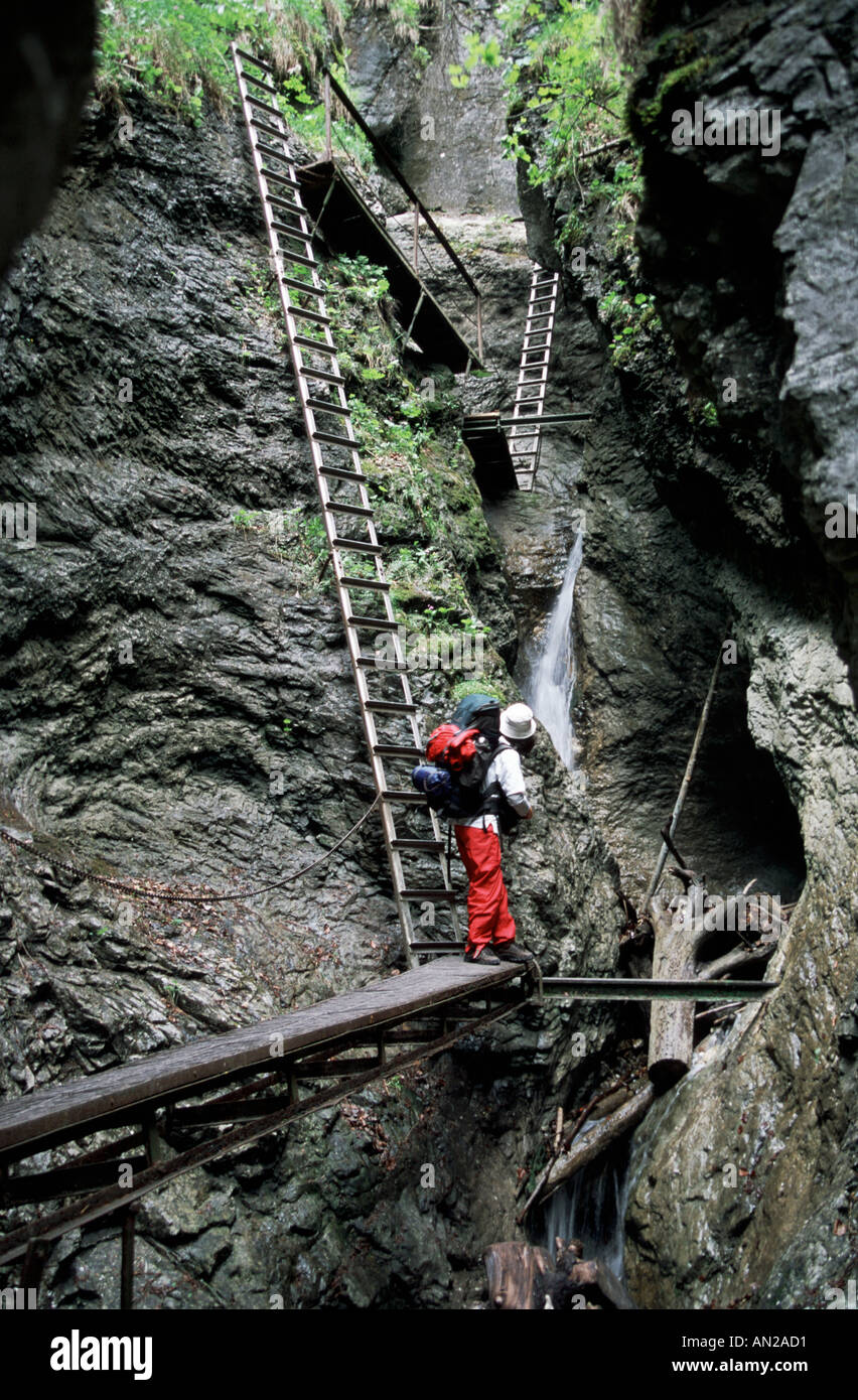 Hard to find a way out, Sucha Bela Gorge, Slovensky Raj national park ...