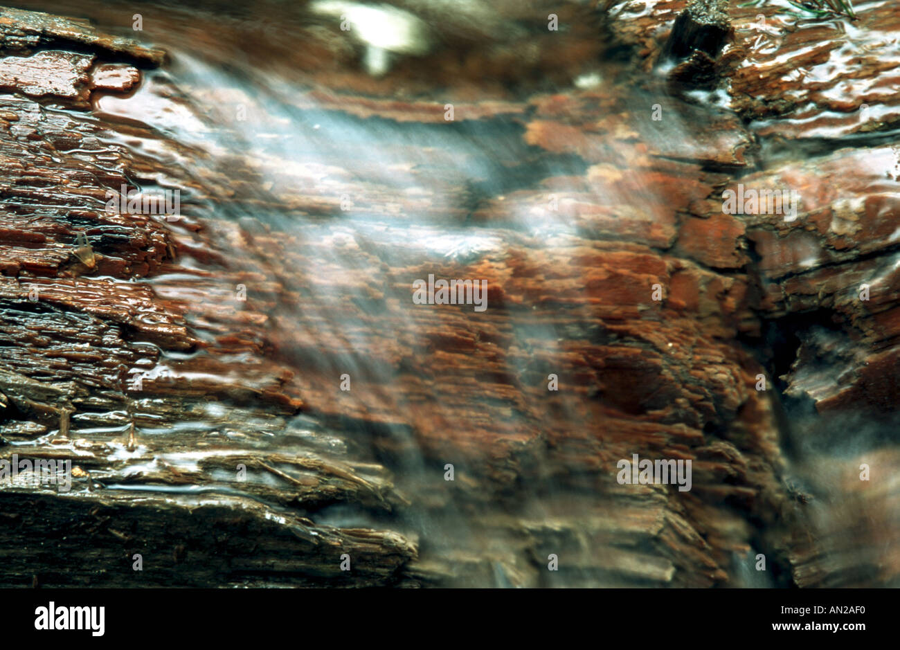 Water cascade over broken wooden log in brook Stock Photo - Alamy