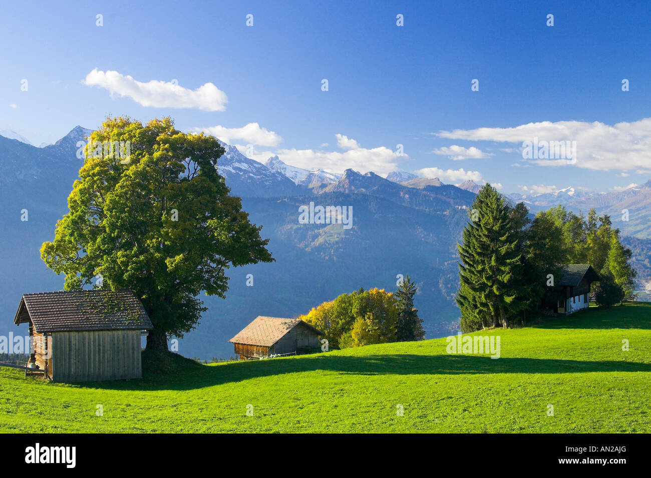 Beatenberg Almhuette Herbst Schweiz Berner Oberland switzerland Stock ...