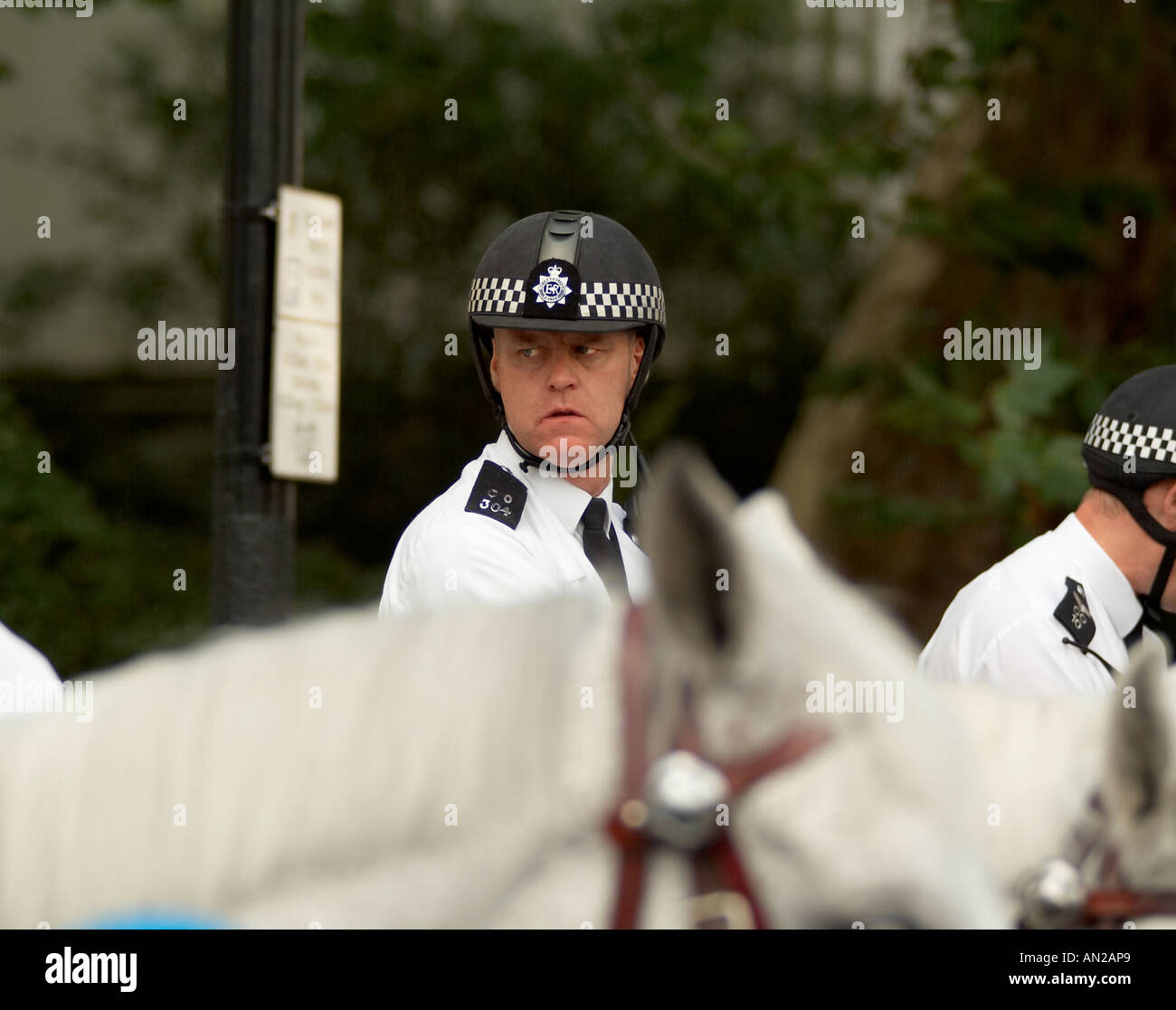 Police Officer from the Metropolitan Mounted Police ,London,England ...