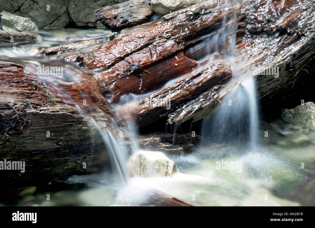 Water cascades over broken wooden log in brook Stock Photo - Alamy