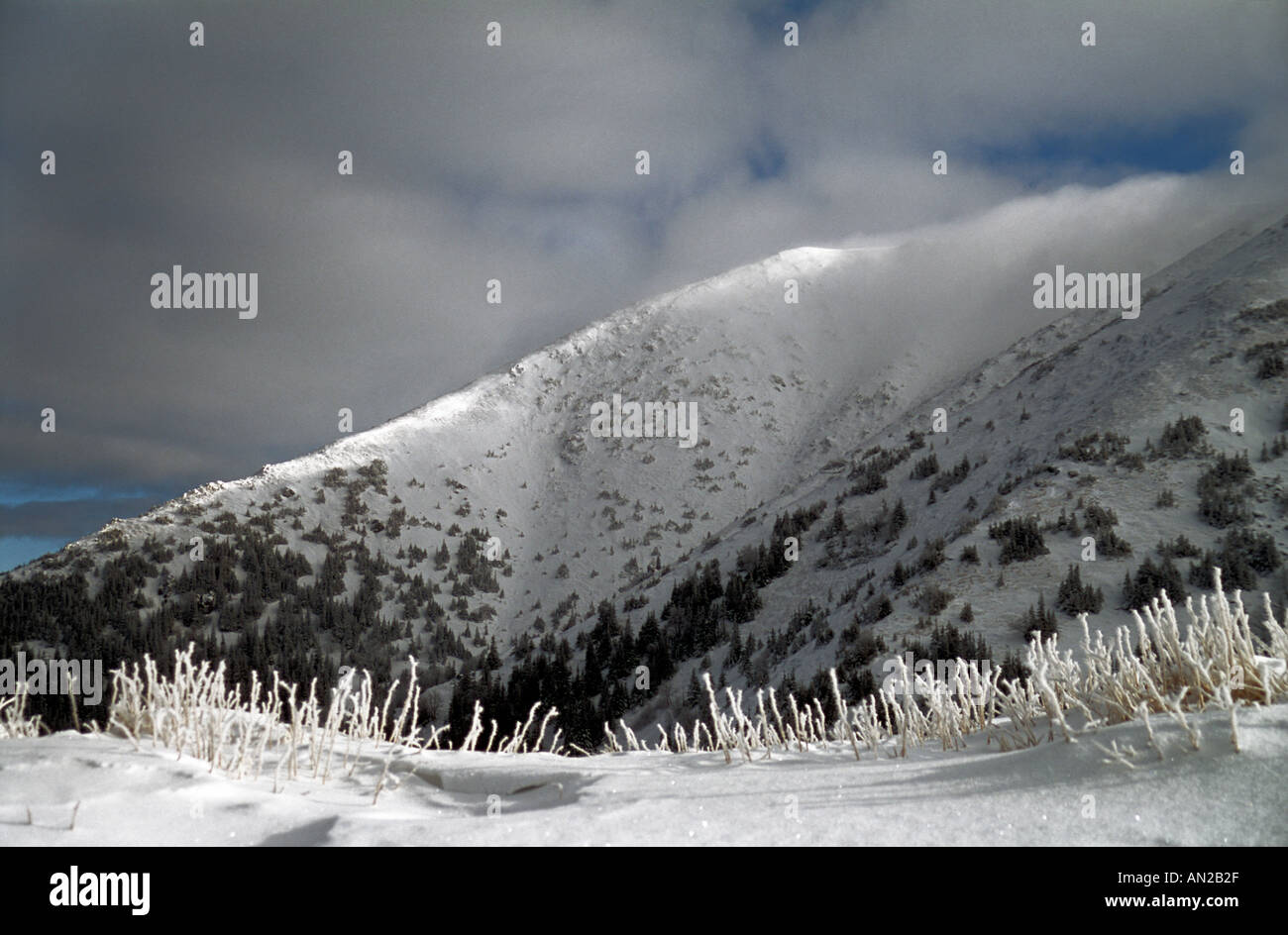 Velka chochula hi-res stock photography and images - Alamy