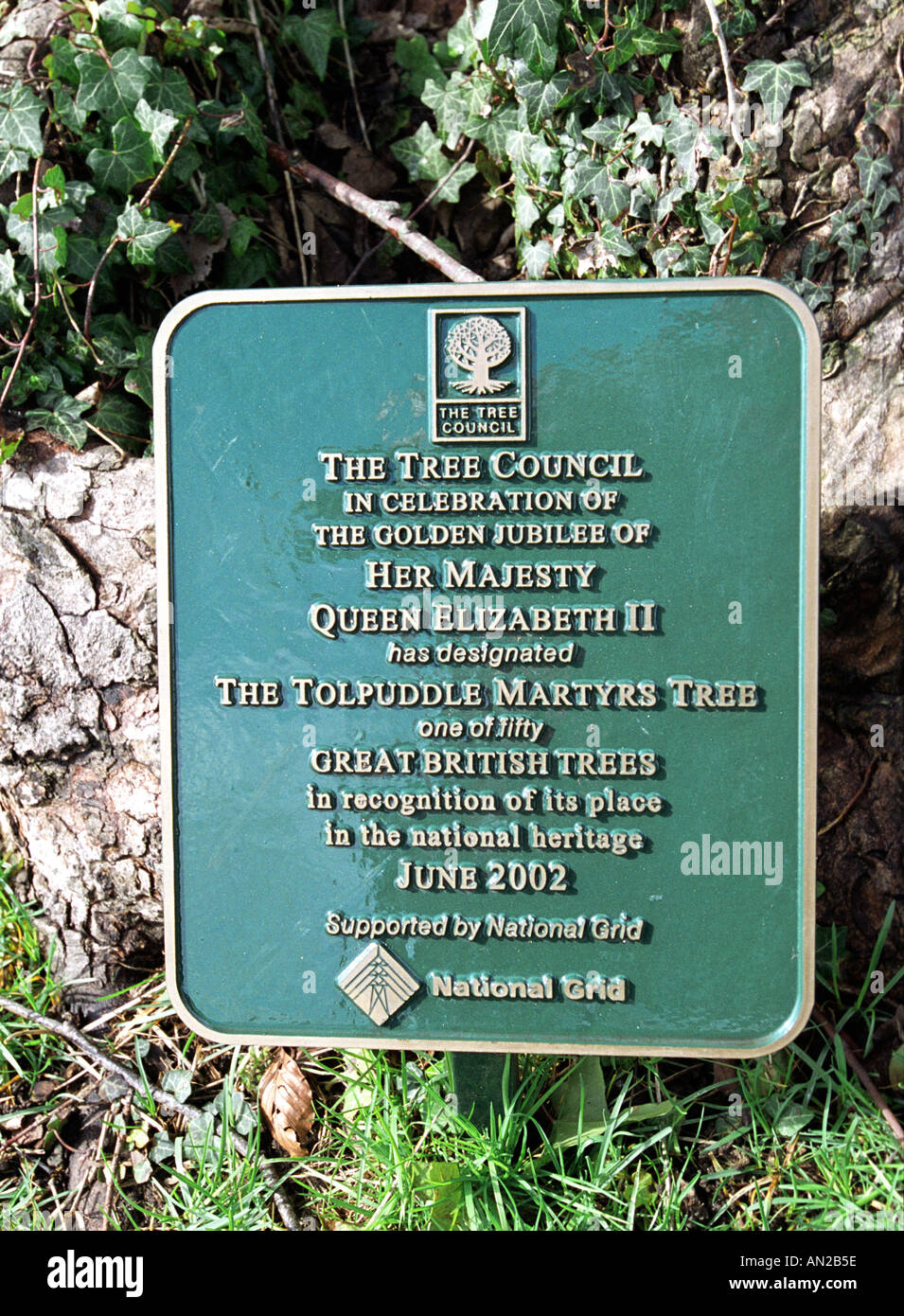 Tolpuddle martyrs tree hi-res stock photography and images - Alamy